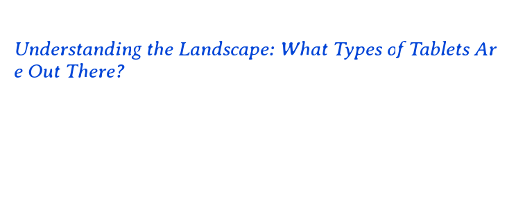 Understanding the Landscape: What Types of Tablets Are Out There? - La ...